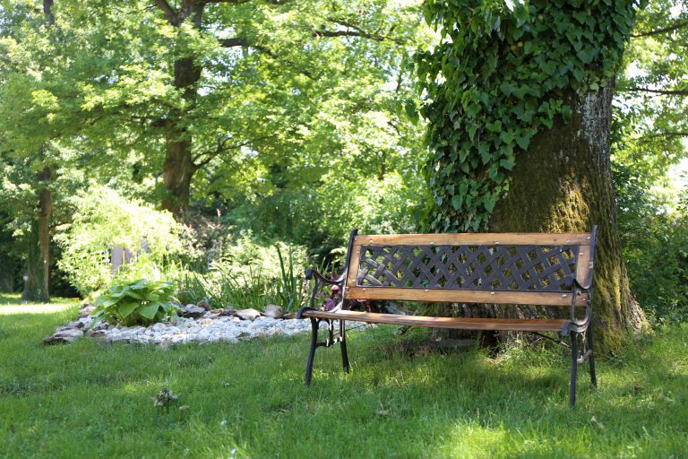 Area | Penzión Harmónia*** | Accomodation in Modra - Harmónia