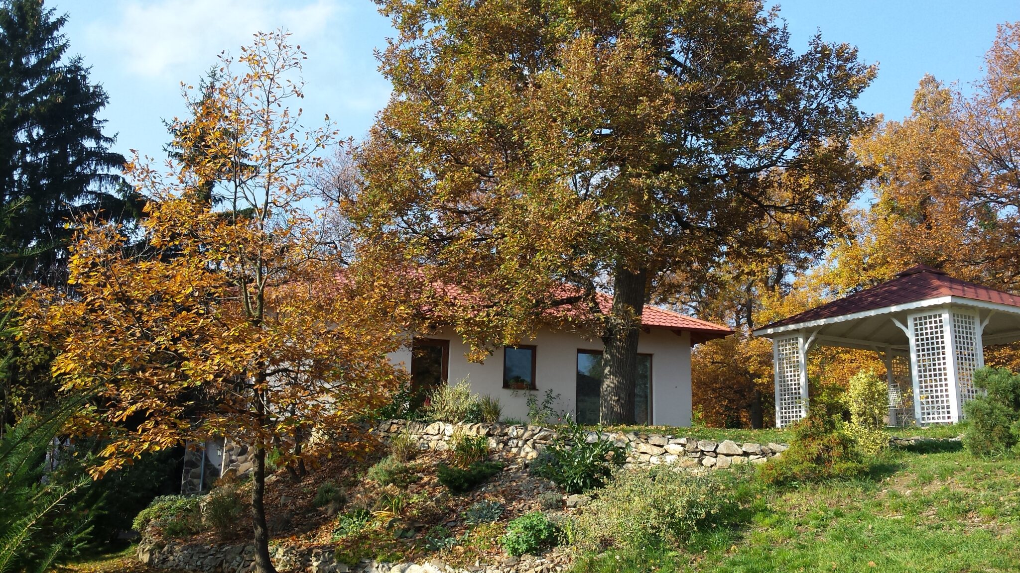 Area | Penzión Harmónia*** | Accomodation in Modra - Harmónia